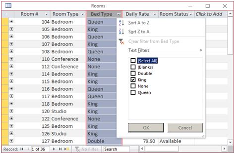 Microsoft Access Record Filtering Lesson Special Windows For Data Selection And Record