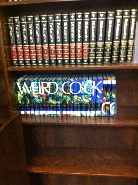 Librarian Problems Imgur