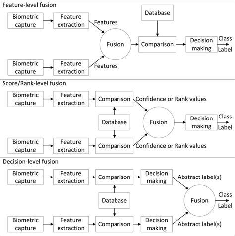 2 Multi Biometric Fusion At Different Levels Jrp04 Download