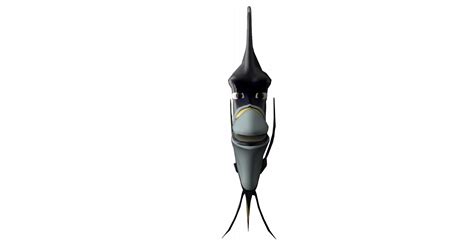 3d Gill From Finding Nemo Model Turbosquid 2023935