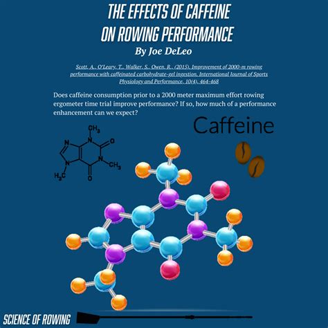 The Effects Of Caffeine On Rowing Performance Science Of Rowing