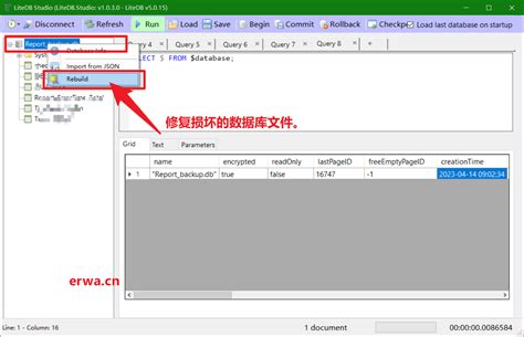 litedb 异常问题汇集 二娃网 博客园