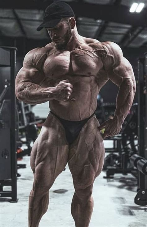 Hunter Labrada Tumbex