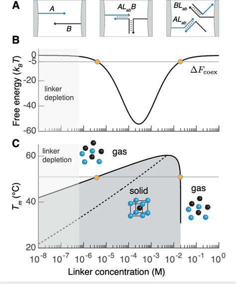 Figure 1 From A Mean Field Model Of Linker Mediated Colloidal