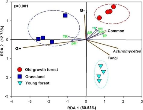 Rda Triplot Of Soil Microbial Communities As ¹³c Plfa Data Of Three Rda Triplot Of Soil Microbial Communities As ¹³c Plfa Data Of Three