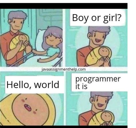 Programming Meme R Basics Programming