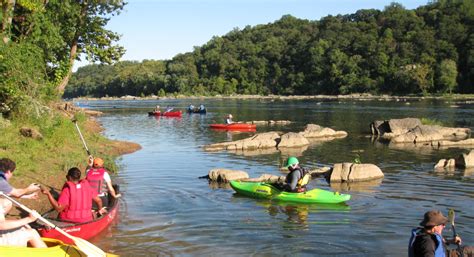 How The Potomac River Shapes Local Wildlife — Potomac Conservancy