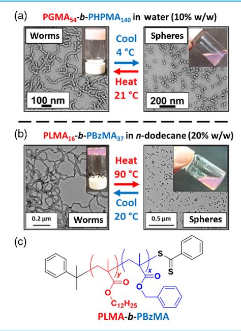 Figure 2 From Principles And Characteristics Of Polymerization Induced Self Assembly With