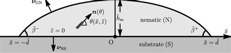 A Schematic Of A Two Dimensional Pinned Static Ridge Of Nematic N