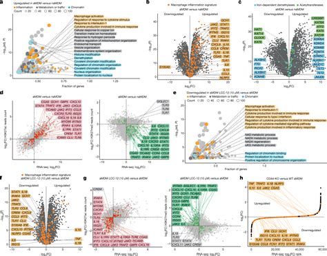 matlab 如何使用matlab获取顶刊《nature》全部绘图 附带近3年全部图像 顶刊绘图 csdn博客