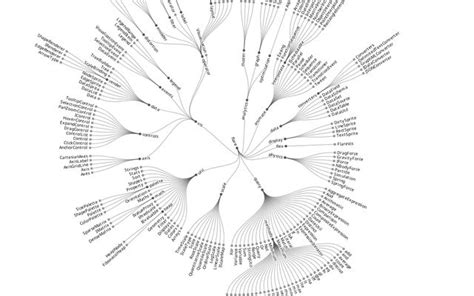 Radial Tree Component D Observable