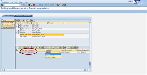 Virtual Time Hierarchy Sap Community
