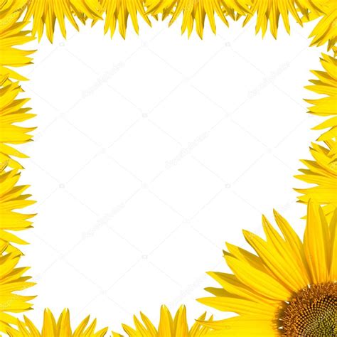 Sunflower Border Patterns