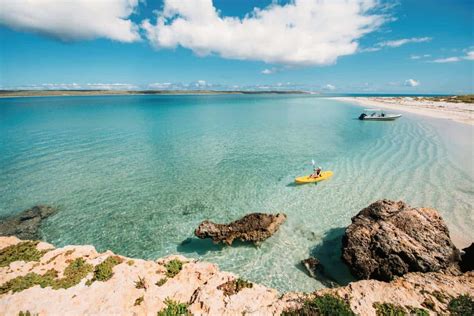 Shark Bay Travel Guide