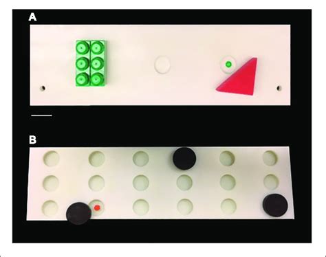 A Photograph Of The Testing Board Used For Delayed Non Match Sample Download Scientific