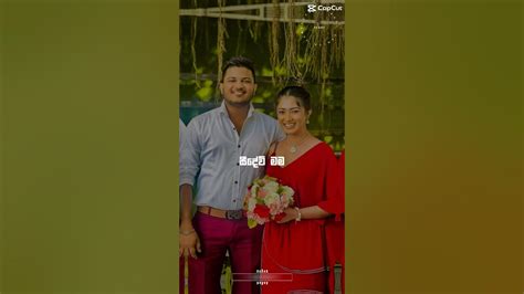 සිදෙවි මම නුබෙ හැලයා🐊 ️👩🏻‍ ️‍👨🏻 Couple Couplecrunchy Couplegoals Lovestatus Love Tranding