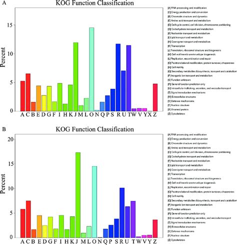 kog classification of assembled unigenes a roots b shoots