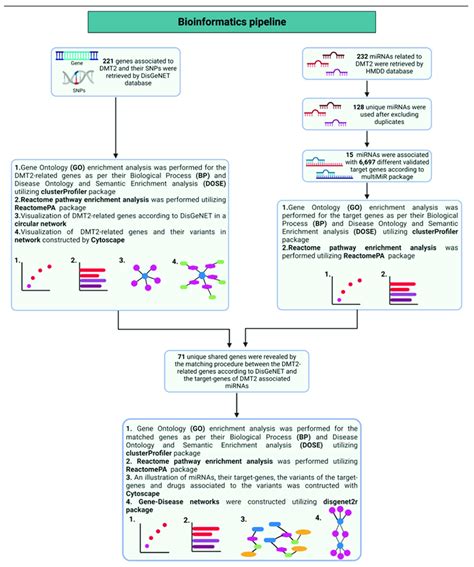 Scheme 1 Schematic Illustration Of Bioinformatics Pipeline Applied To Download Scientific