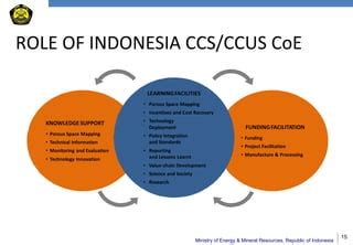 CCS CCUS Program And Activities In Indonesia PDF Power And Energy Industry Industries