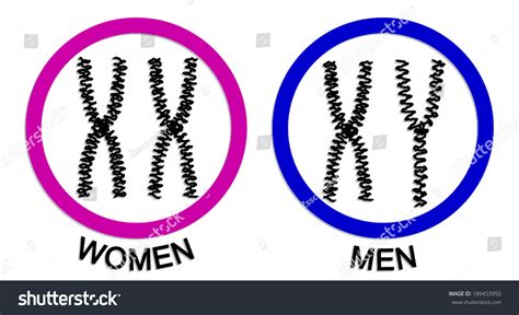 What Is The Difference Between Male And Female Chromosomes At Joan