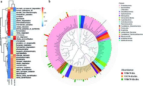 Metabolic Functional Diversity Of Bacterial Community Structure A And