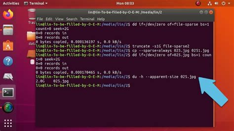 Exploring Sparse Files Across Windows Linux Macos And File Systems