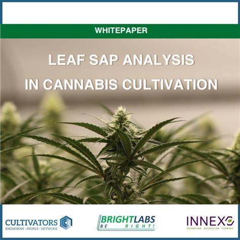 New Leaf Sap Analysis For Cannabis In The Netherlands Cultivators