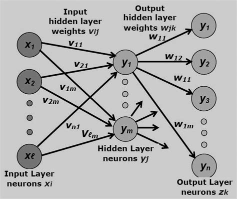 Mlp With One Input One Hidden And One Output Layer Download Scientific Diagram