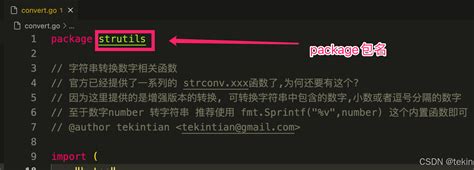 Go Pkg包名如何在pkggodev发布golang软件包 Package包名 Import包名 Git库名 Gomod
