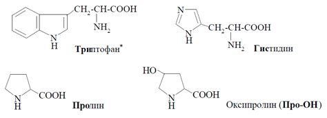Лекція №2 4 природні α амінокислоти Будова класифікація стереоізомерія хімічні властивості