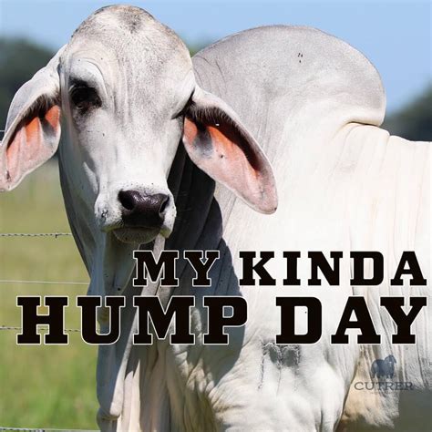 First Class Bbq Hempstead Tx