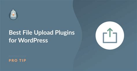 upload plugin logo file uploads settings peepso