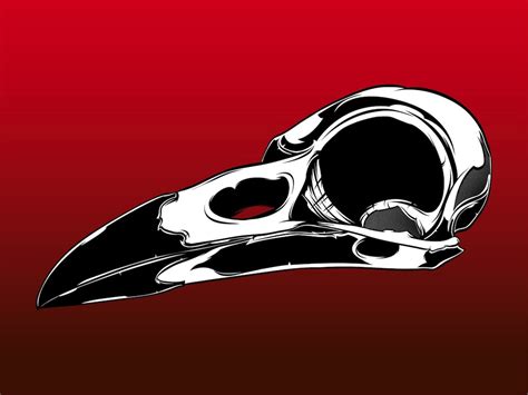 Bird Skull Vector Vector Art And Graphics