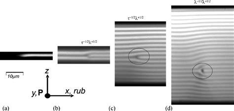 Fcpm Textures Of Vertical X Z Cross Sections Of Grandjean Cano Wedge