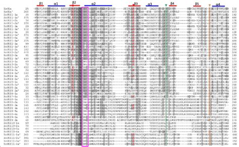Multiple Sequence Alignment Of The A Type Domains Of B Rapa Pdi Download Scientific Diagram