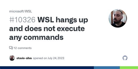 Wsl Hangs Up And Does Not Execute Any Commands · Issue 10326