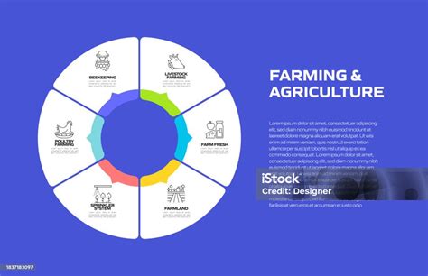 Farming And Agriculture Related Process Infographic Template Process Timeline Chart Workflow