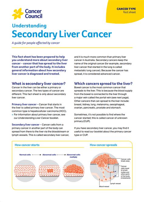 Types Of Liver Cancer Liver Cancer Symptoms Types Causes