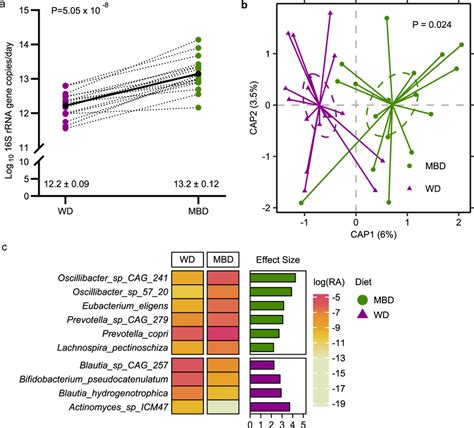 Diet Modulated The Gut Microbiome A Fecal Bacterial 16s Rrna Gene Copy