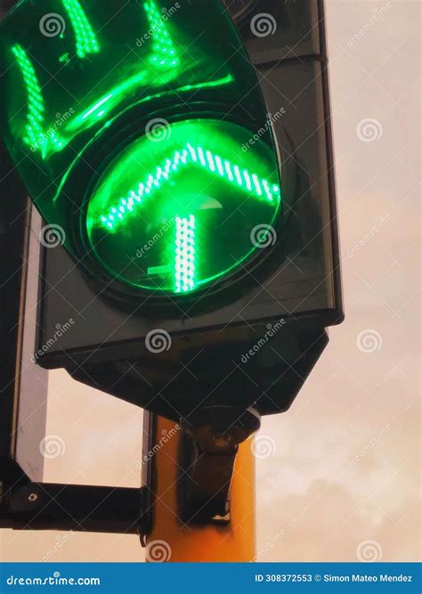 Traffic Light Green Arrow Indicates At Ella Kendall Blog