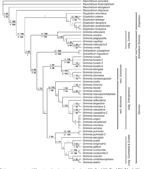 Arnolds Cat Map Semantic Scholar