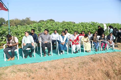 Pesticide Application In Cotton Through Drone At Entomology Farm Anand Agricultural University
