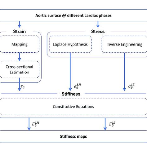 summary of the workflow for the non invasive stiffness estimation ε θ