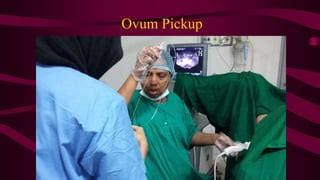 Challenges In Management Of Infertility Pptx