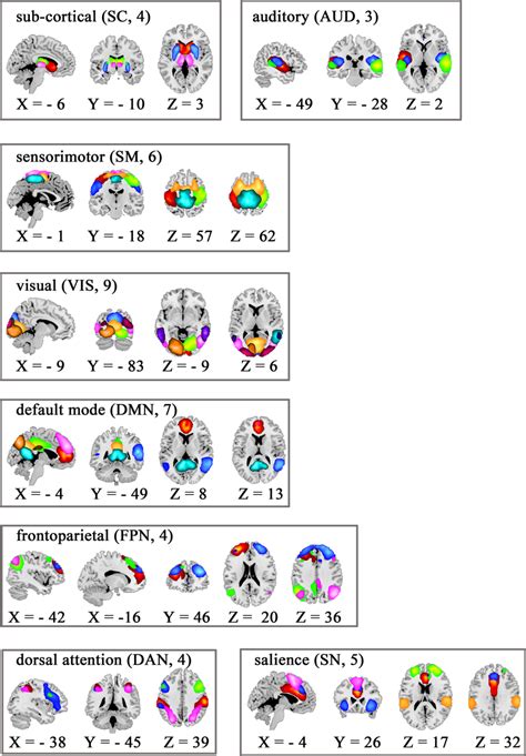 Composite Maps Of The 42 Identified Intrinsic Connectivity Networks