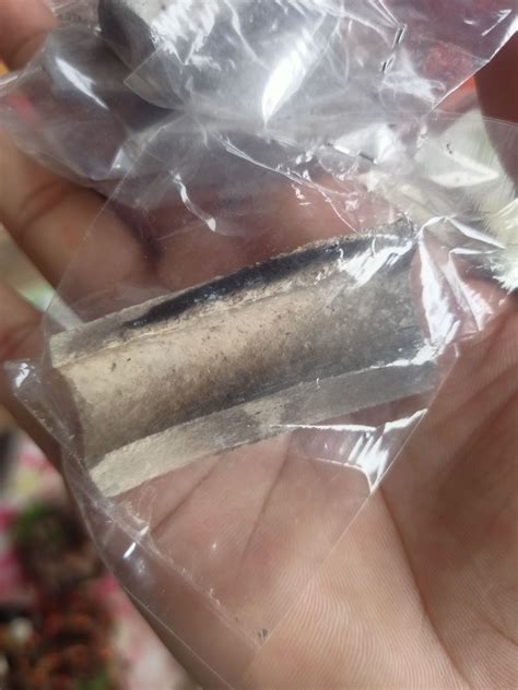Tambal Pang Sipsip Ng Kamandag Lazada PH
