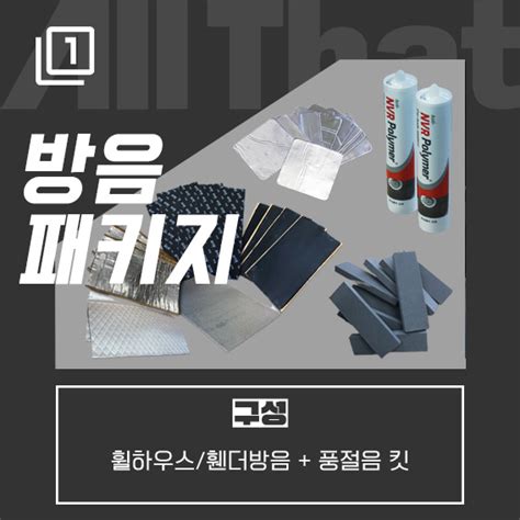 카니발 신차패키지