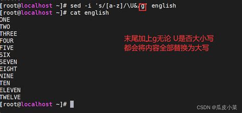 Linux基础——文本三剑客之sed流编辑器sed 删除行 匹配 字符串 Csdn博客 Linux基础——文本三剑客之sed流编辑器sed 删除行 匹配 字符串 Csdn博客