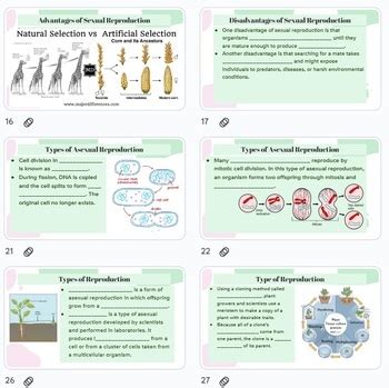 Reproduction Of Organisms Babe Notes Google Slides Junior High Science
