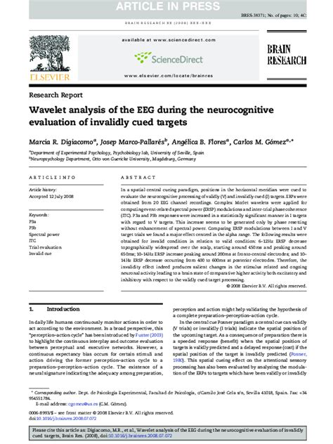 Pdf Wavelet Analysis Of The Eeg During The Neurocognitive Evaluation